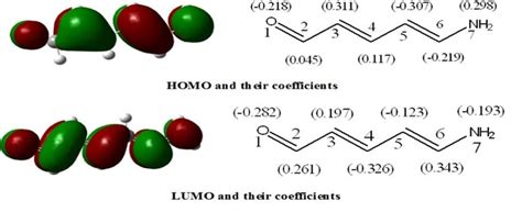 How To Get Homo And Lumo Coefficients At The Reactive Sites For The
