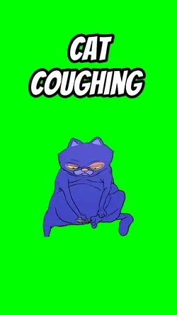 Cat Cough Meme Discover Trending Cat Memes Online
