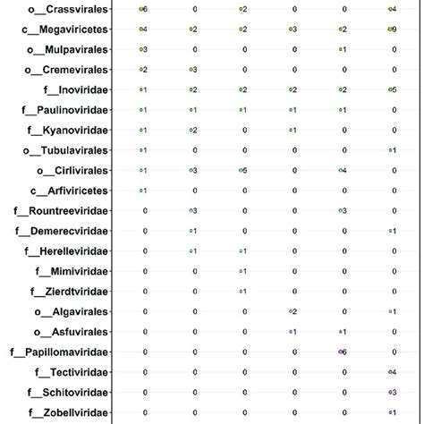 Bubble Plot Built Upon Img Vr Database Comparison Of Dna Viruses Download Scientific Diagram