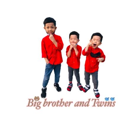 Big Brother And Twins