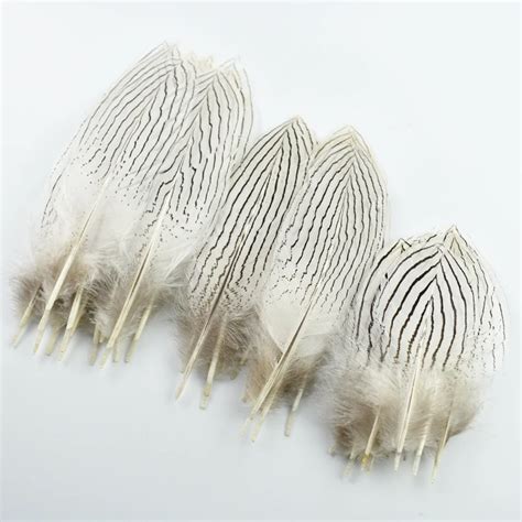 White Craft Feathers Pheasant Dyed Silver Pheasant Feathers Silver