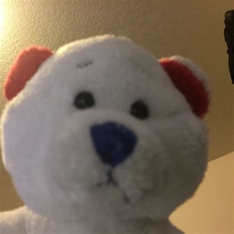 Taylor Mcclellan Youtube