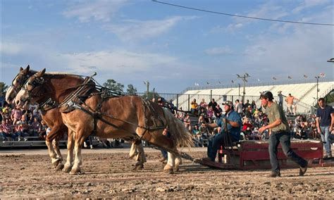 Suzanne Carrick Suzanne Carrick Added A New Photo