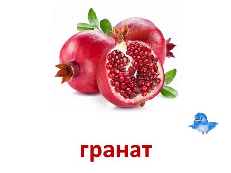 Фрукты Загадки презентация онлайн