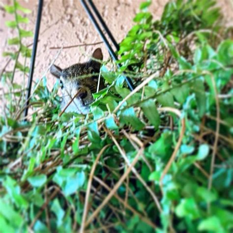 Ugh Why Here Scrolller