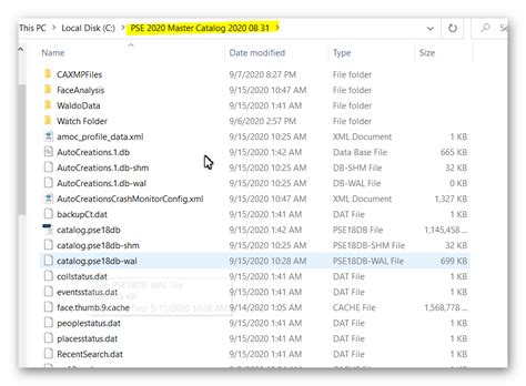Pse 2020 Folder Structure Adobe Product Community 11434885