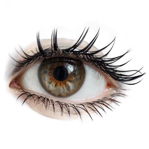 Download Lash Bonding Agent Png 06122024