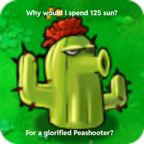 Cactus Roast Rdankmemes Know Your Meme