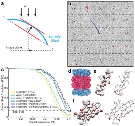 Publications Armache Lab
