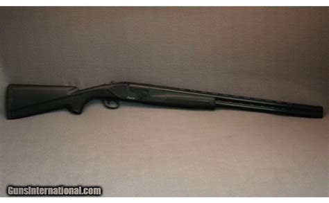 Armsan ~ Pointer ~ 20 Ga