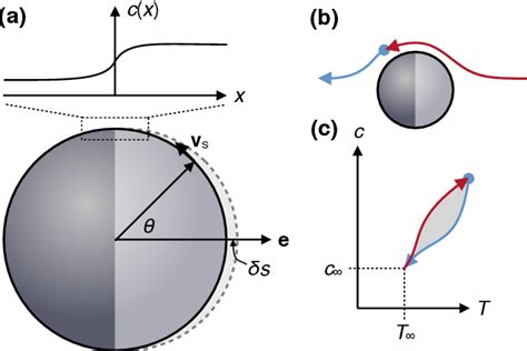 Figure 1 From Thermodynamic Approach To The Self Diffusiophoresis Of Colloidal Janus Particles