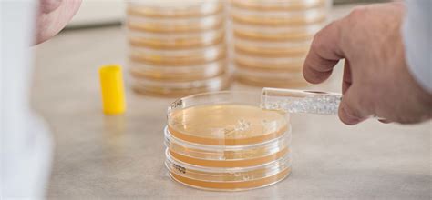 New Names For Probiotics Within The Lactobacillus Genus Biogaia