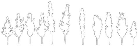 Individual Tree Segmentation From Side View Lidar Point Clouds Of Street Trees Using Shadow Cut