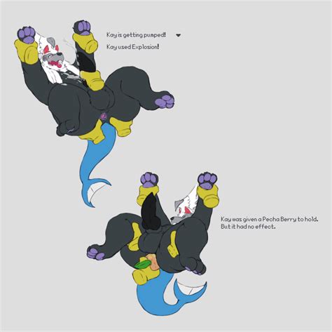 Rule 34 Animal Genitalia Animal Penis Anonymous Artist Anus Ass Balls