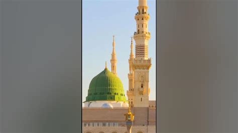 Beautiful Pecture Youtube