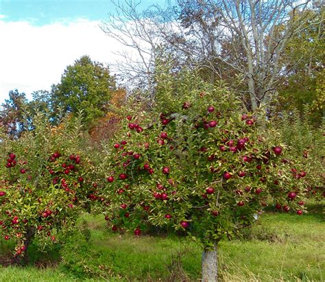 Artisan Bread School Added A New Photo Artisan Bread School
