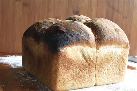 Traditional Irish Batch Bread Loaf Recipe Sp Gastrogays