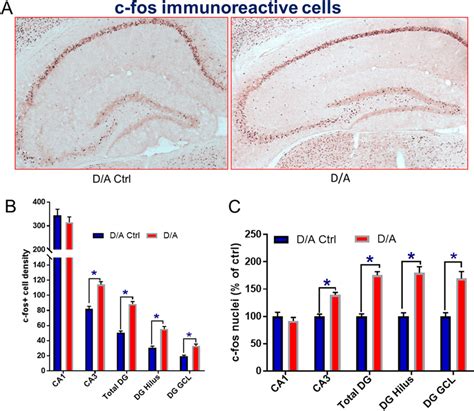 Ablation Of Hilar Som⁺ Interneurons Increased C Fos Neurons In The Dg
