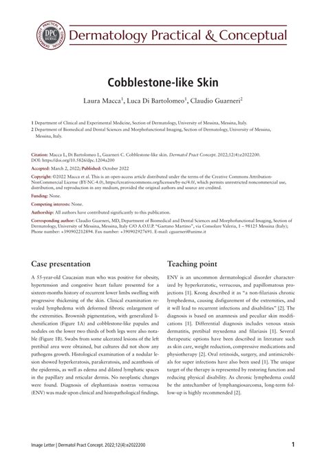 Pdf Cobblestone Like Skin Pdf Cobblestone Like Skin