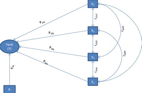 1 Path Diagram Showing Direct Effects Single Arrow On Yield And