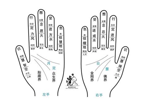 最常見的佛教手印（第三版） 每日頭條