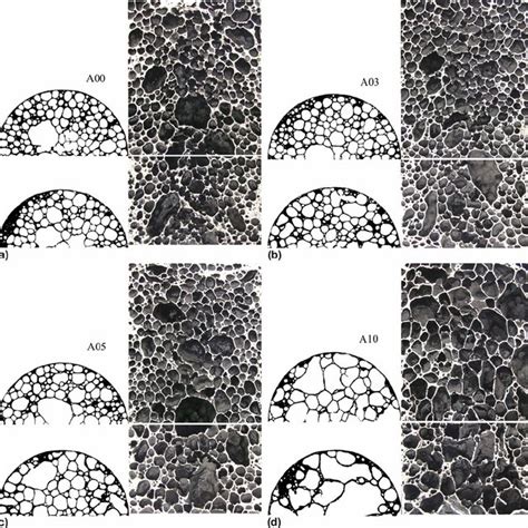 Optical Micrographs Showing The Cell Wall Microstructure Of The Foams Download Scientific
