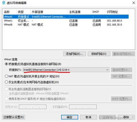 复制的ubuntu虚拟机，连不上网，没有ipv4地址ubuntudejavu 华为开发者空间