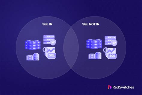 10 Steps Breakdown Of The SQL NOT IN IN Operators