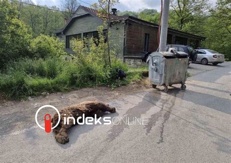 Vrasja E Ariut Në Brezovicë Policia Afër Të Gjej Kryerësit E Veprës