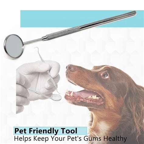 Stainless Steel Dental Mirror 5 With Handle 65 Dentist Tool For