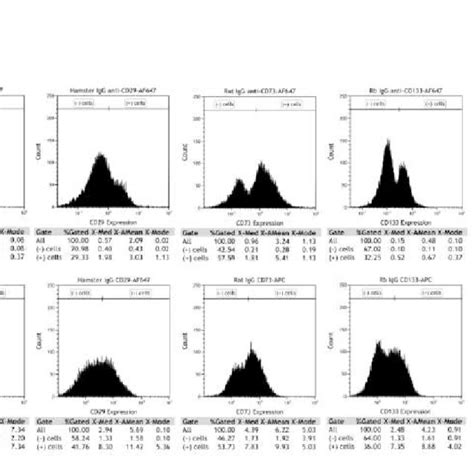 Flow Cytometry Analysis Of Cell Surface Markers Expression In The Human