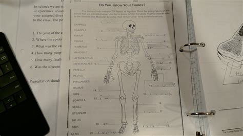 Skeleton Diagram Diagram Quizlet