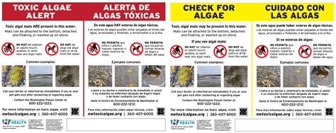 The Necessary Differences In Responding To Planktonic Vs Benthic Toxic