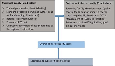 Conceptual Framework That Shows Factors Associated With Overall Tb