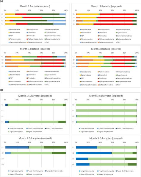 Phylum Level And Class Level In The Proteobacteria Classification Of