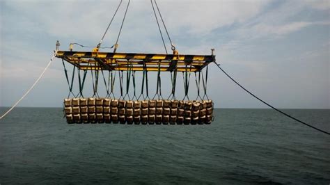 Rigid Pipelay And Subsea Works Wav