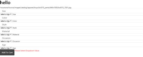 Javascript Angular Js Create Multiple Dropdowns Dynamically And Need Validation Stack Overflow