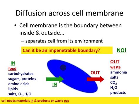 Ppt The Cell Membrane Powerpoint Presentation Free Download Id 2478934