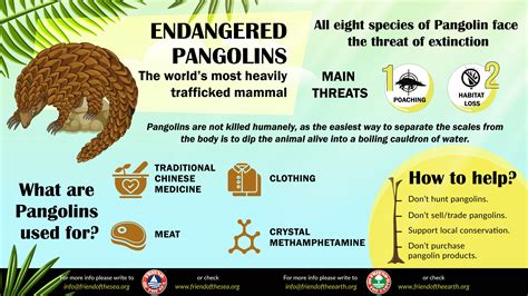 Philippine Pangolin Conservation