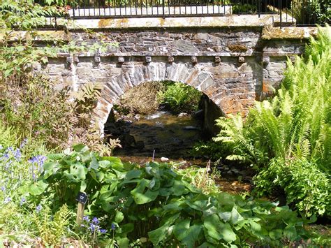 Free Images Bridge Flower Stone Stream Arch Backyard Botany Waterway Vegetation Ferns