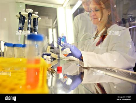 Molecular Biologists Nadine Taudte R And Katrin Schulz Examine The