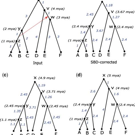 Illustration Of Objective Functions Implemented In Dater A An Input Download Scientific
