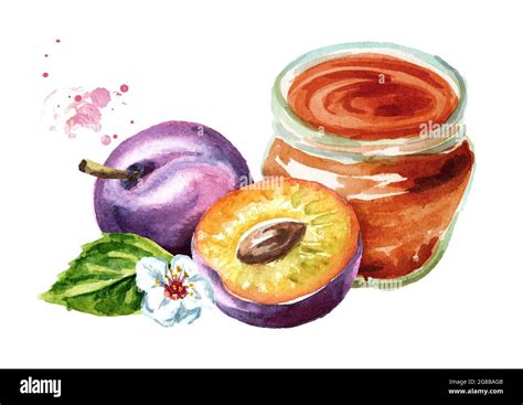 Organic Fruit Jam Glass Jar Of Plum Marmalade And Fresh Fruits