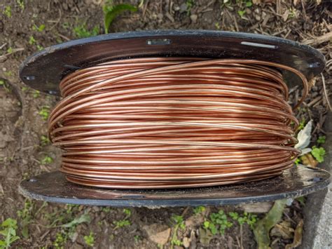 Pruning The Raspberry Bushes The Martha Stewart Blog