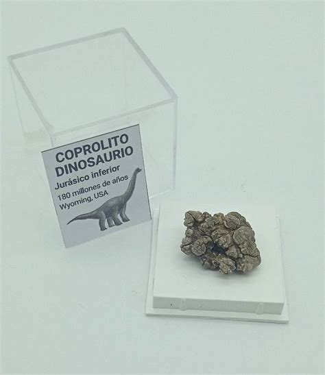 Medidas Del Cropolito 22x22x11 Mm Presentado En Una Caja De