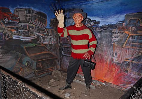 New ‘froggy Style Sex Position Discovered In Bombay Night Frogs