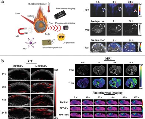 A Schematic Illustration Of Radionuclide ⁶⁴cu‐mmns As Versatile