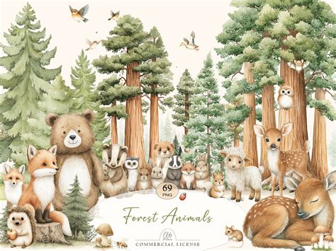 Forest Animals Watercolor Set Graphic By Cozy Watercolor Studio