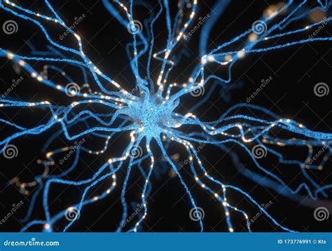 Sensory Neuron Axon Electrical Pulse Stock Image Image Of Cell Data
