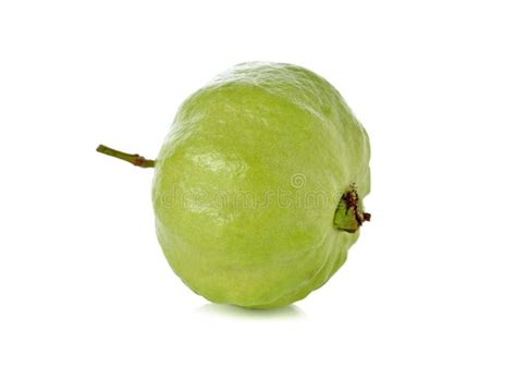 Whole Guava With Stem On White Stock Image Image Of Edible Guava